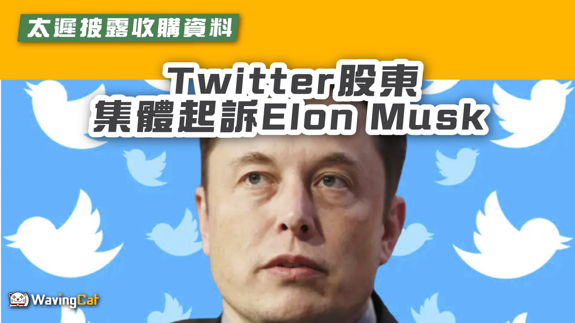 太遲披露收購資料 Twitter股東集體起訴Elon Musk】 - WavingCat 招財貓