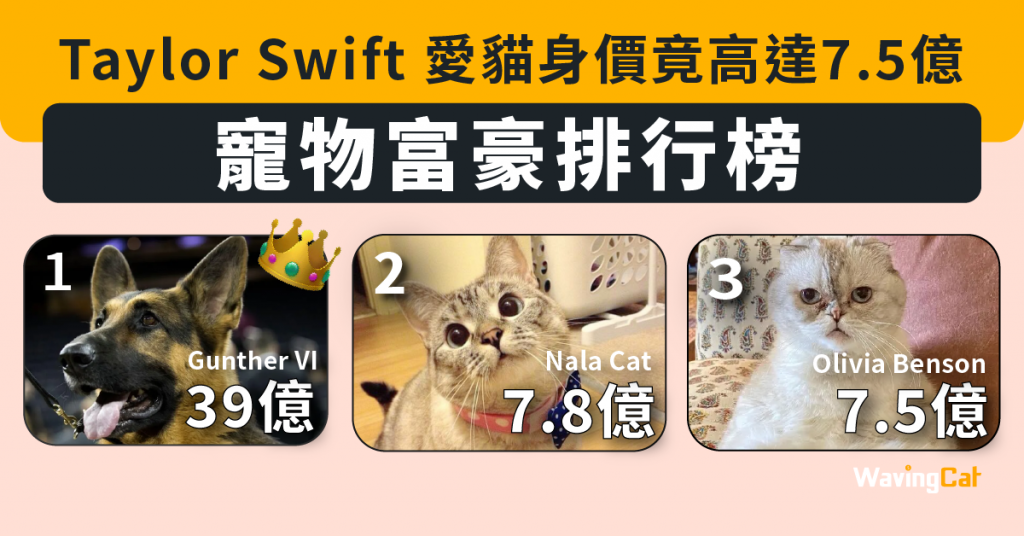 寵物富豪排行榜 Taylor Swift 愛貓身價竟高達7.5億 - WavingCat 招財貓